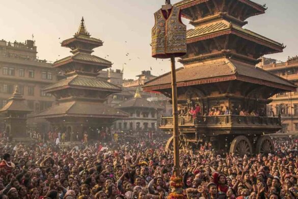 Gai Jatra Best of Festival Nepal | The Unique Festival of Cows 2025
